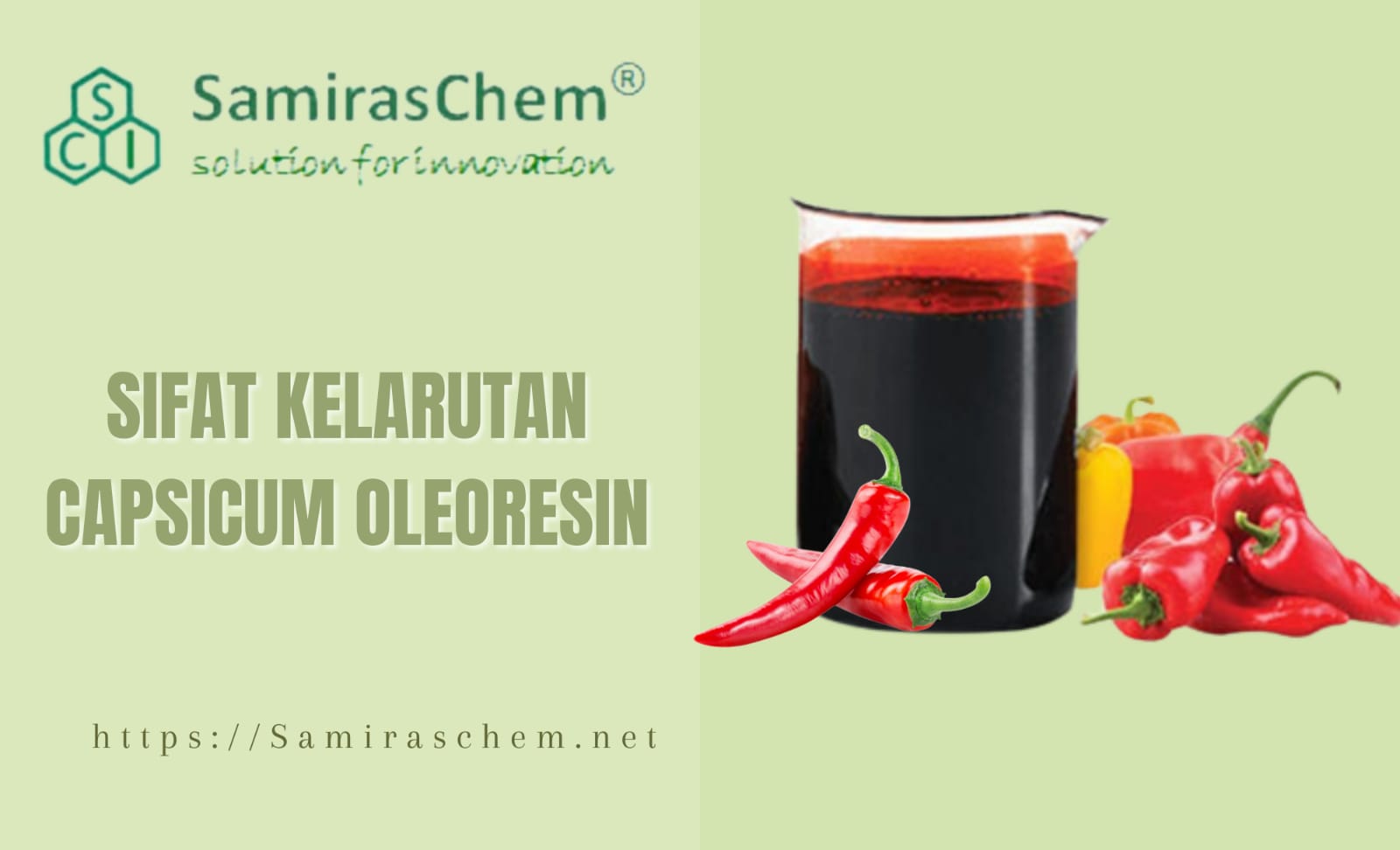 Sifat Kelarutan Capsicum Oleoresin yang kaya akan manfaat.