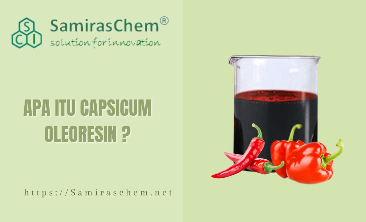 Apa itu Capsicum Oleoresin? Estrak cabai bahan serba guna
